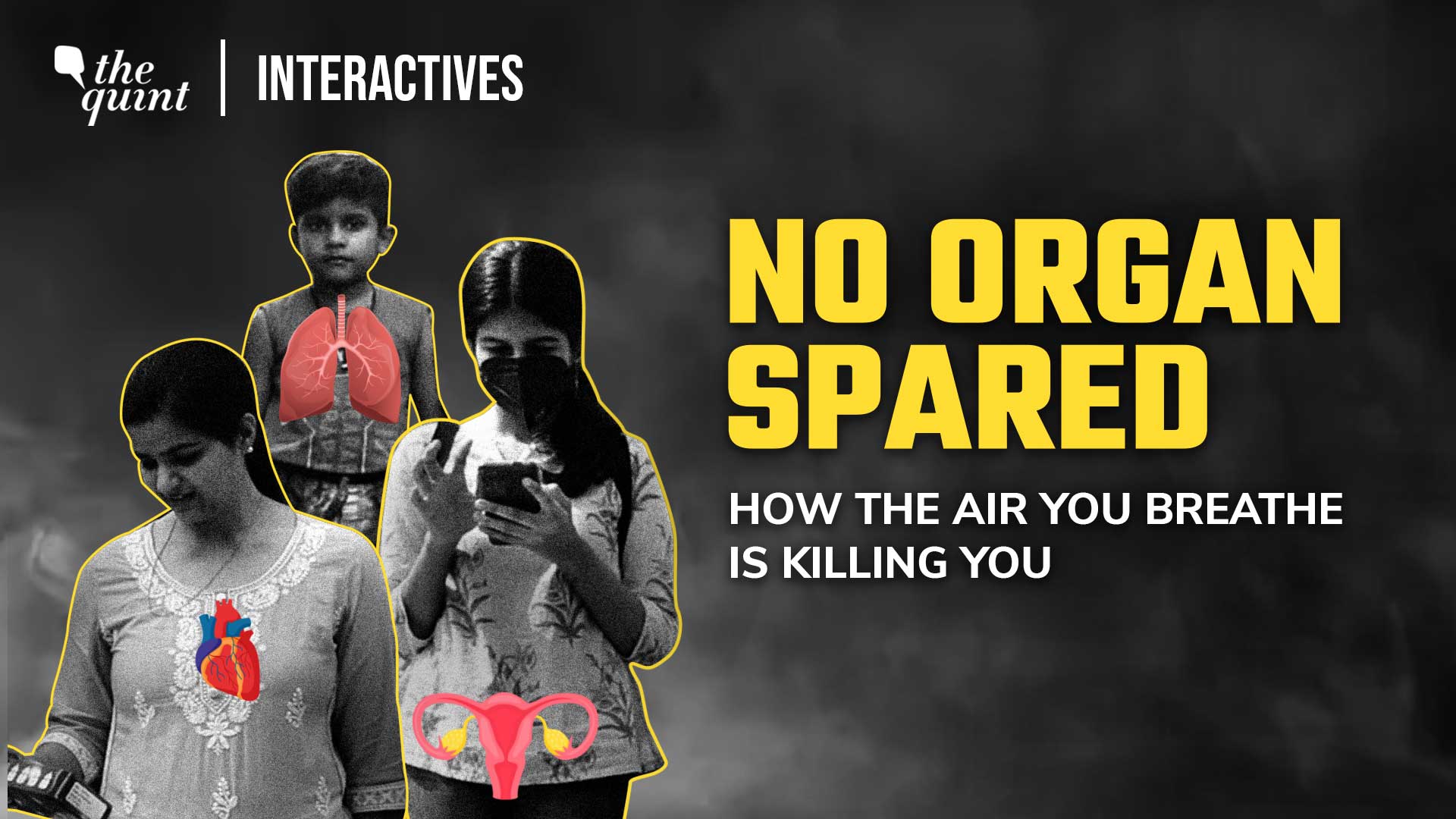 No Organ Spared: How Air Pollution Affects Every Organ in Your Body